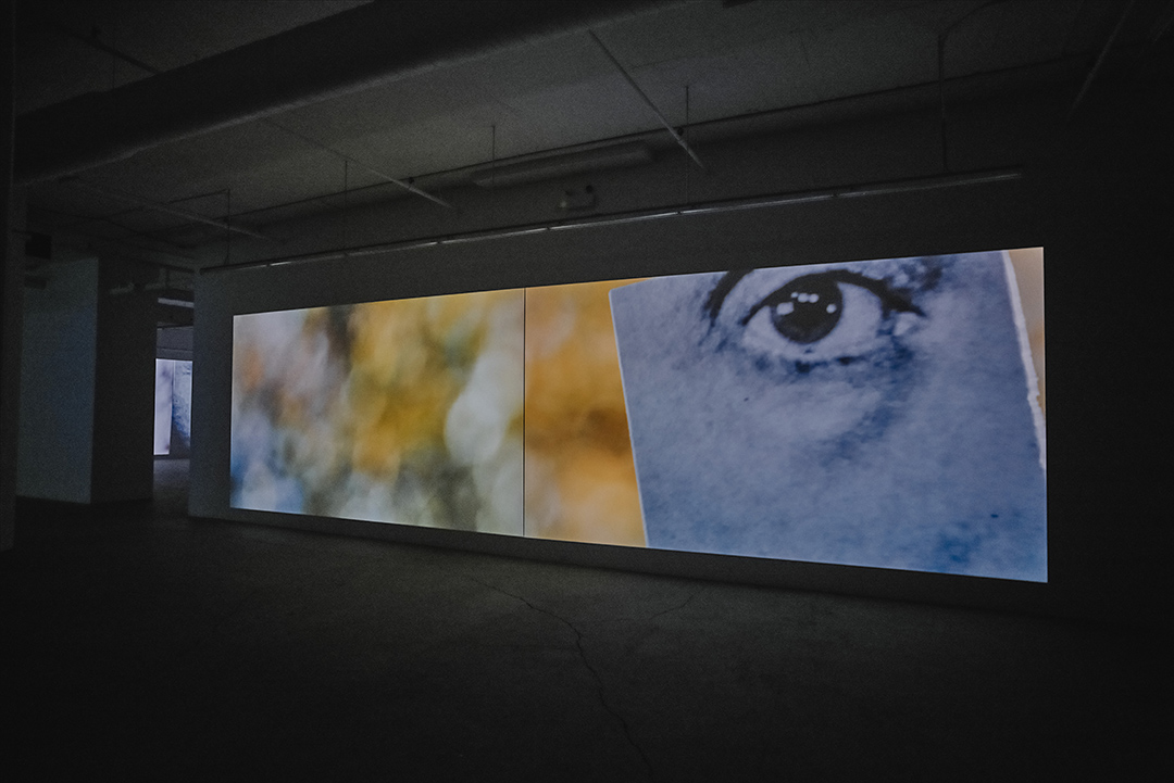 PASCAL GRANDMAISON - paintings at Galerie René Blouin (Mtl-QC-CA)